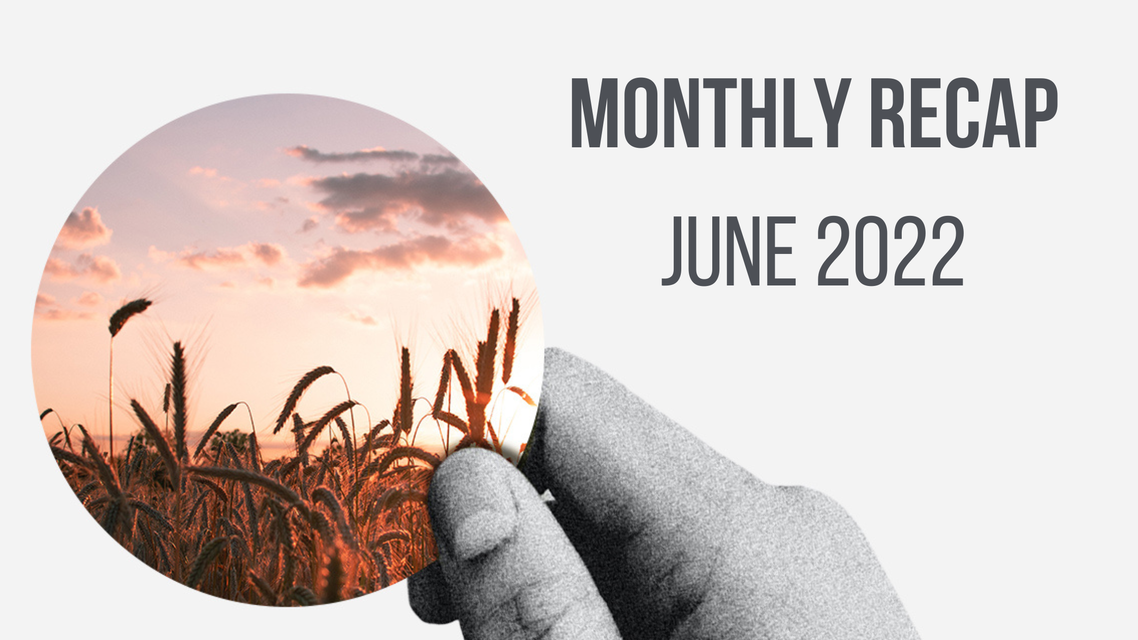 DOVU - Monthly Recap #4: Tokens Held - DOVU